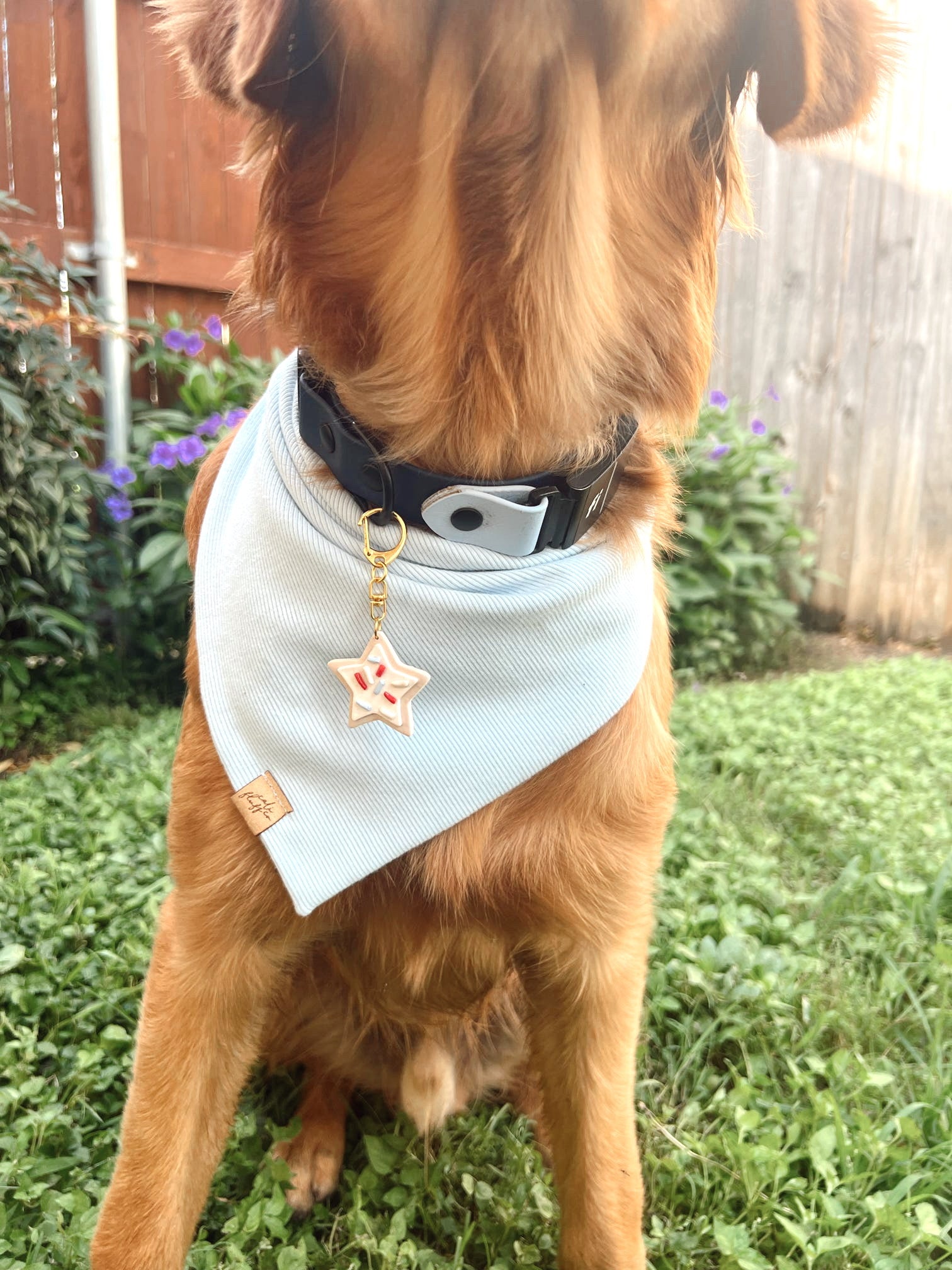 Freedom Sugar Cookies – Trust Your Wings